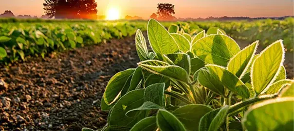 Custom Adhesives & Coatings Capabilities